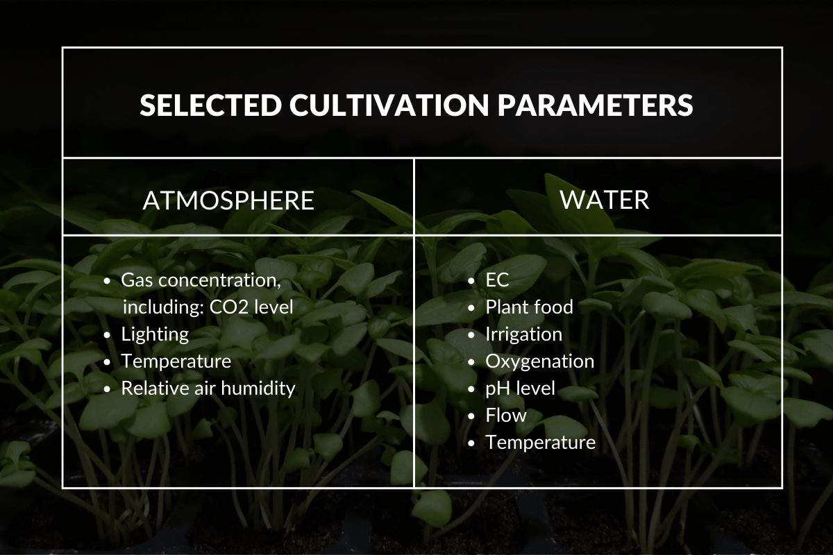 Explaining Plant’s Growth Algorithms | Blog Hydropolis